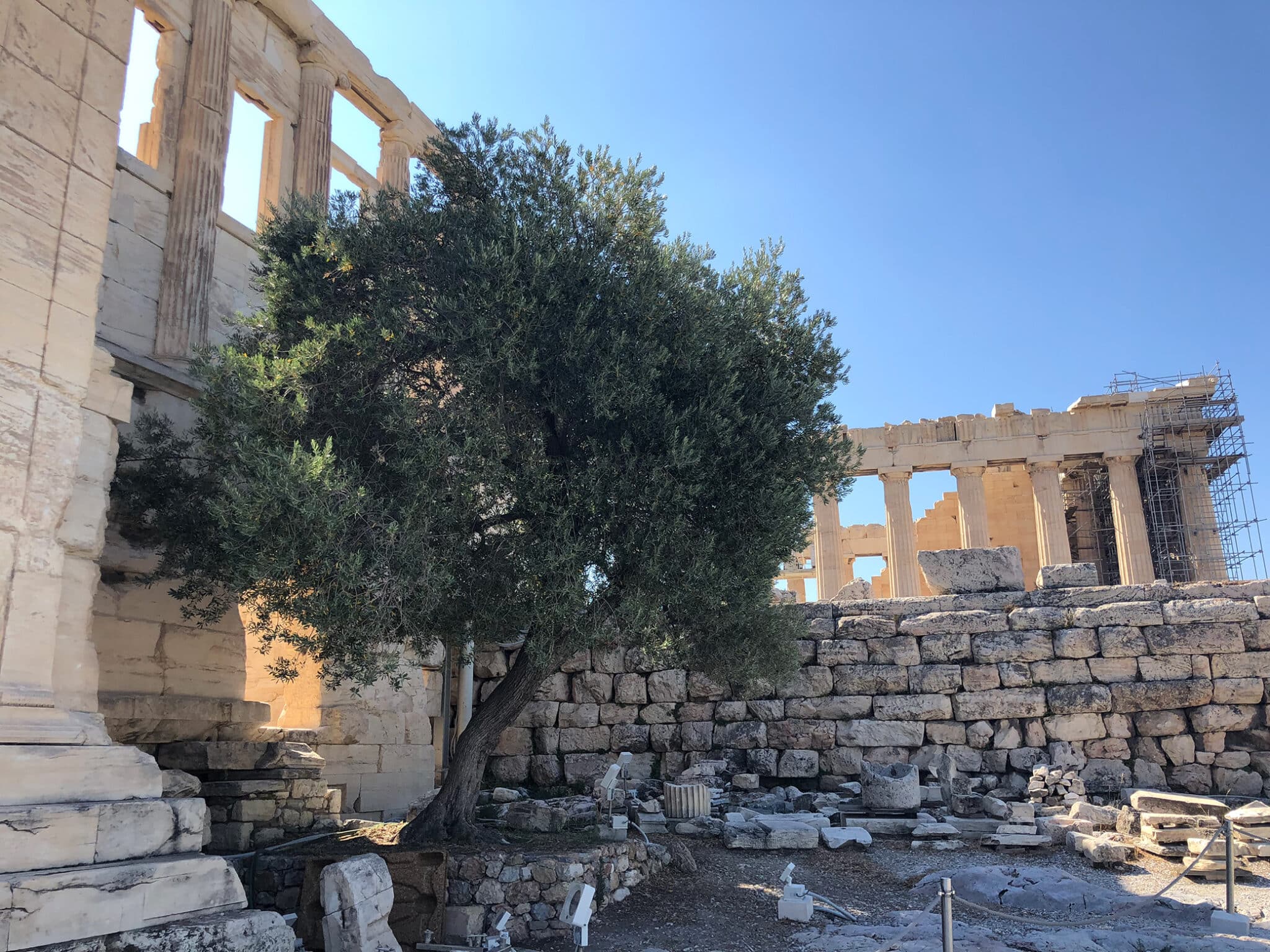 Guide et conseils pratiques pour la visite de l'Acropole